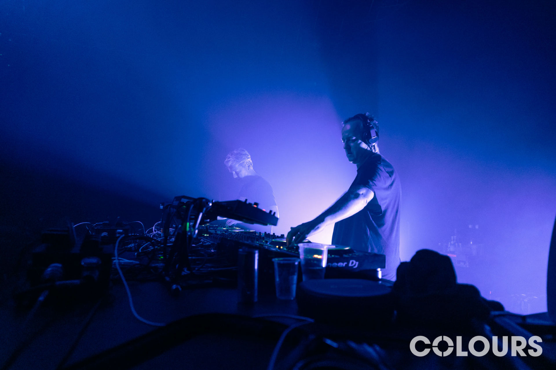 Colours – The Roar Agency